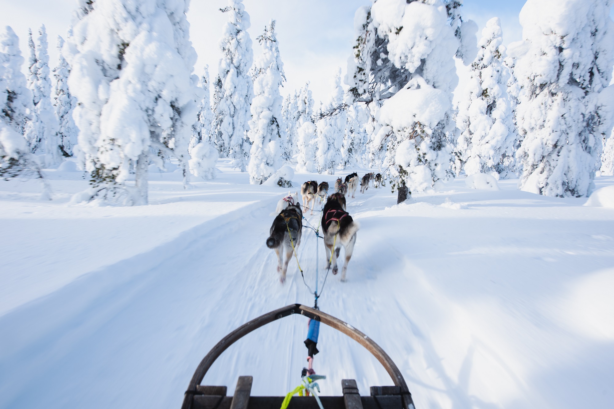Weitere Winter-Highlights | Visit Dalarna
